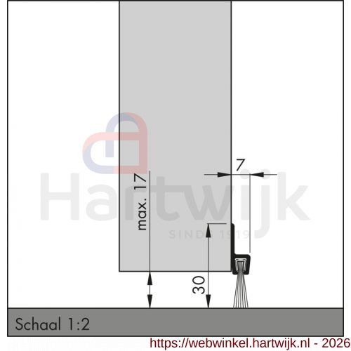 Ellen tochtprofiel dorpelprofiel met borstel aluminium IBS-31 100 cm ...